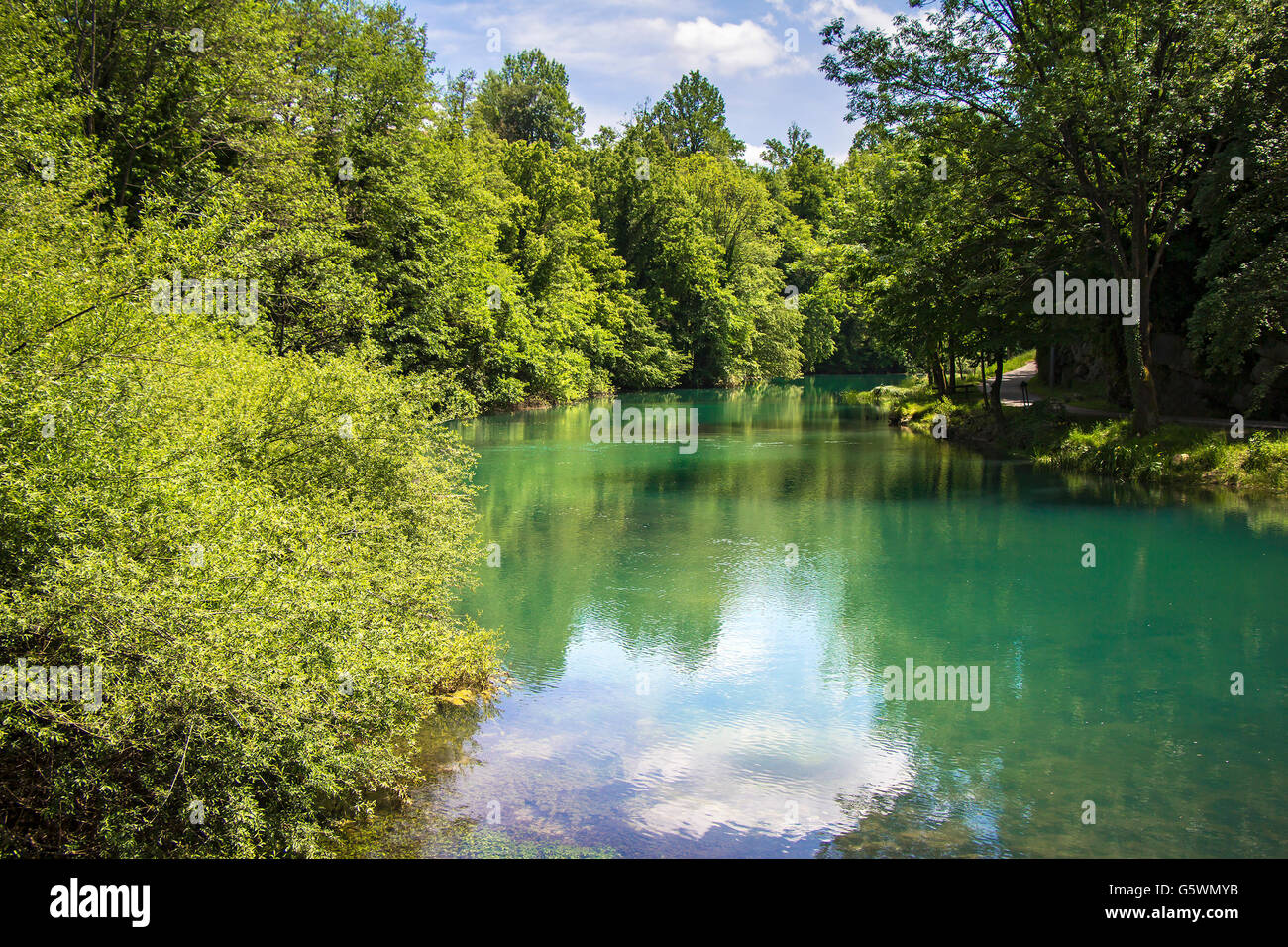 Landscape with Beautiful nature and green river Stock Photo - Alamy
