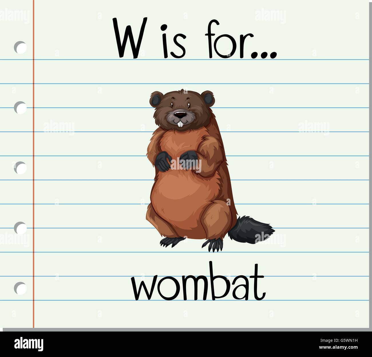 Flashcard letter W is for wombat illustration Stock Vector Image & Art ...