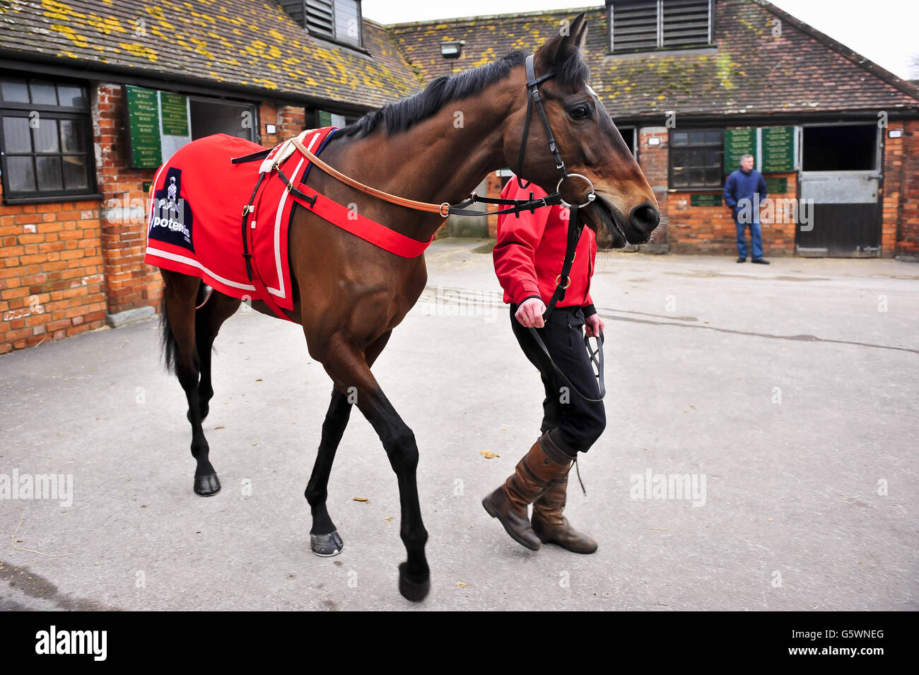 Horse Racing - Paul Nicholls Stable Visit - Manor Farm Stables Stock ...