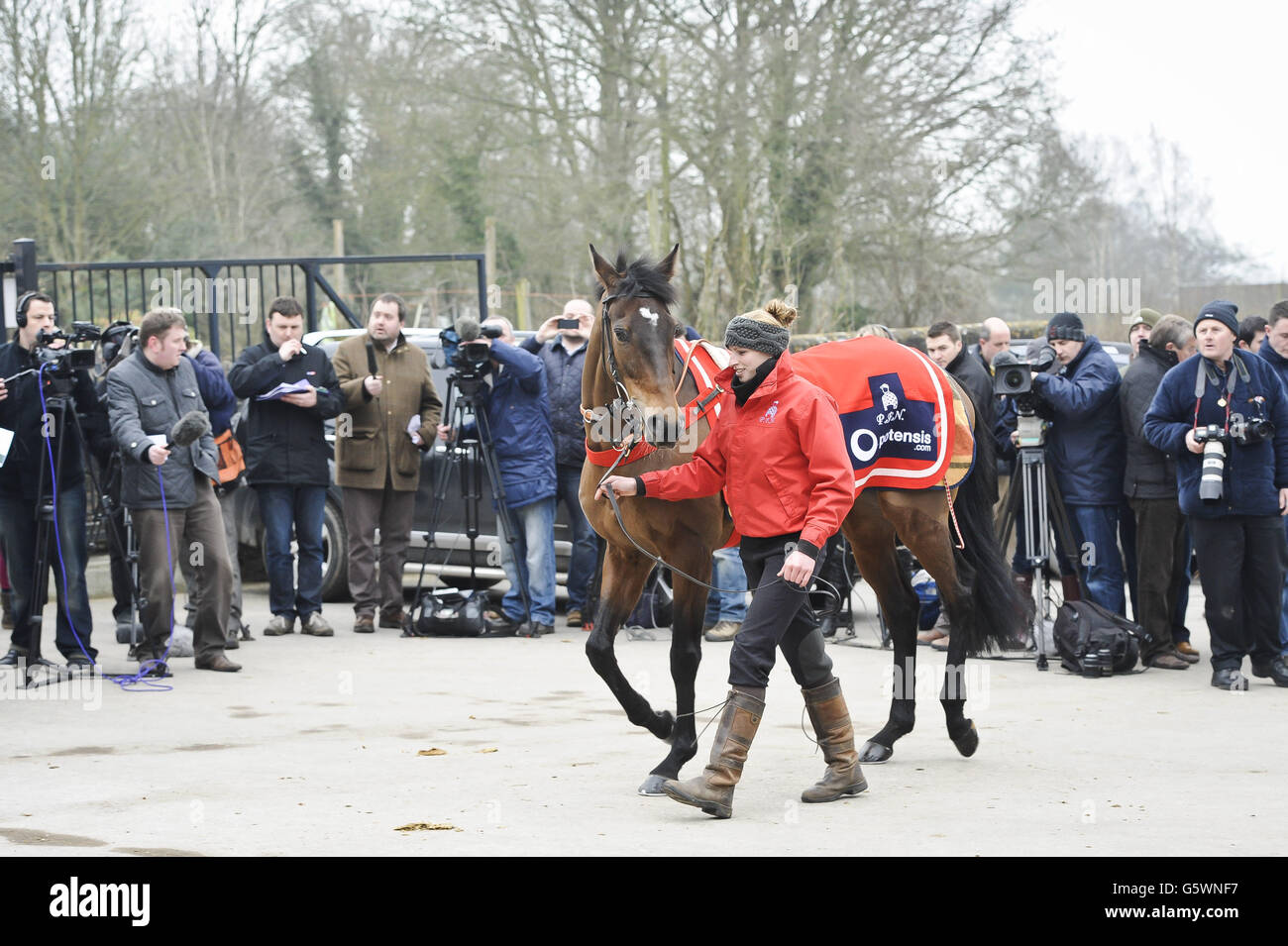 Horse Racing - Paul Nicholls Stable Visit - Manor Farm Stables Stock ...