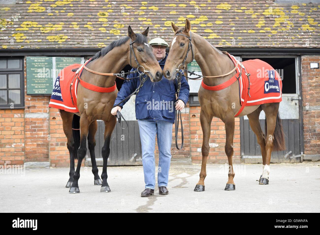 Zarkandar visit to manor farm stables hi-res stock photography and ...