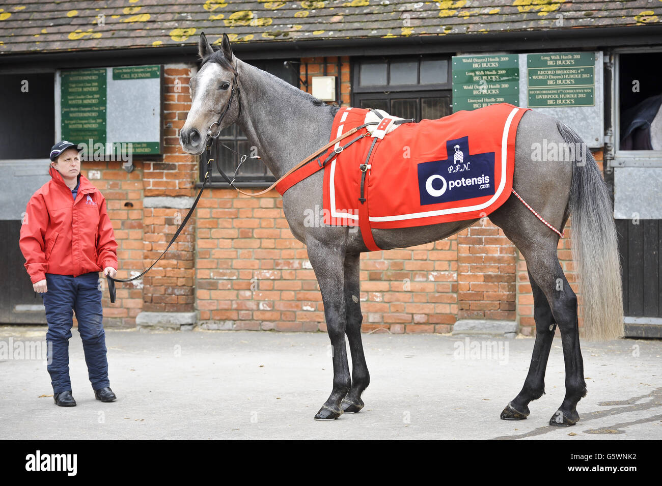 Horse racing paul nicholls stables visit manor farm stables hi-res ...