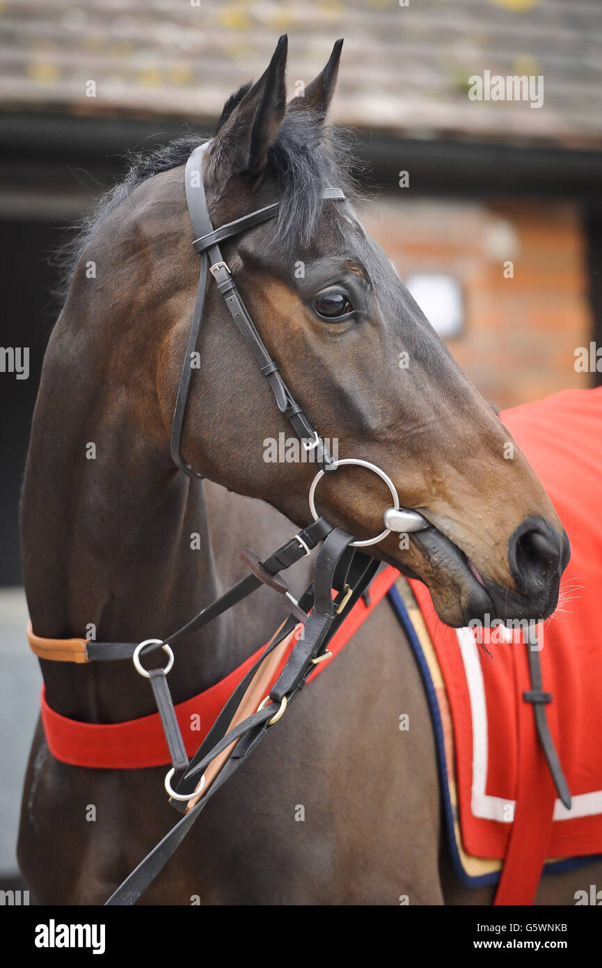Horse Racing - Paul Nicholls Stable Visit - Manor Farm Stables. Ptit ...