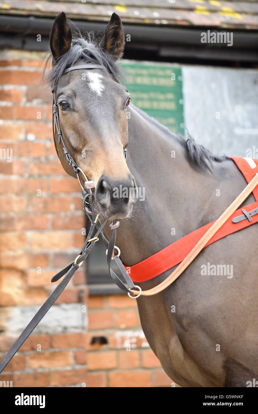 Paul nicholls stable visit manor farm stables hi-res stock photography ...