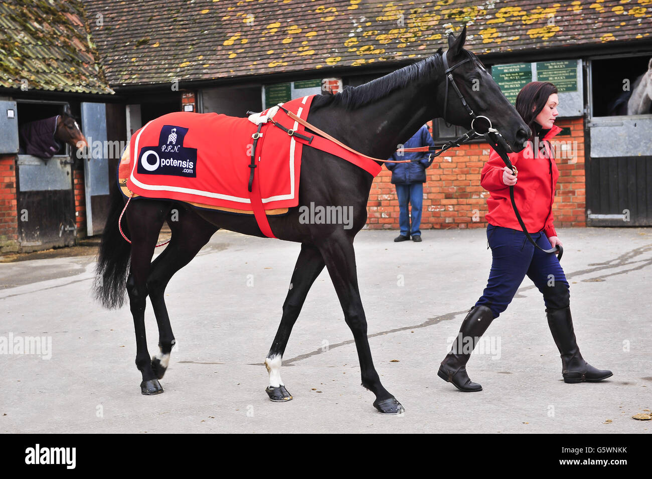 Paul Nicholls Stable Visit Manor Farm Stables High Resolution Stock ...