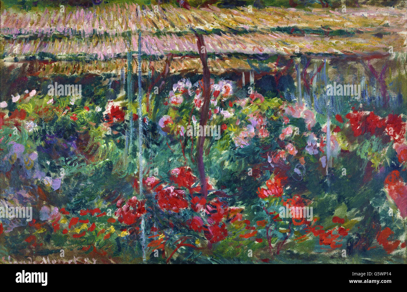 Claude Monet - Peony Garden Stock Photo - Alamy