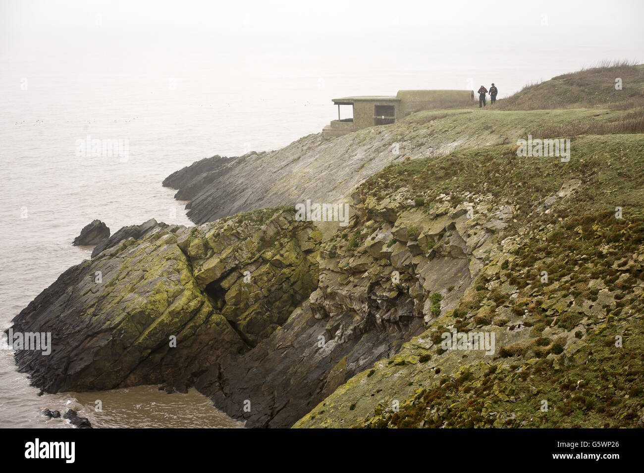 A general view on Flat Holm island in the Bristol Channel. Flat Holm ...