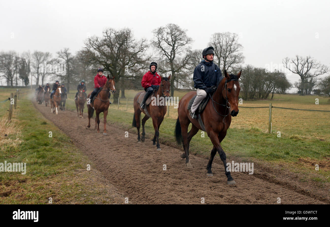 Horse racing nigel twiston davies stable visit grange hill farm hi-res ...