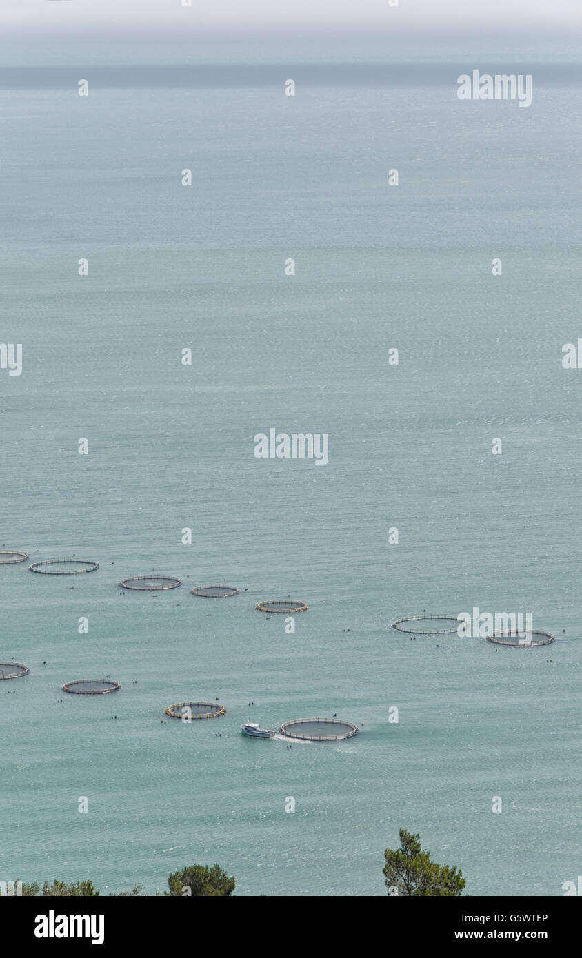 Example of mariculture in the Mediterranean sea Stock Photo - Alamy