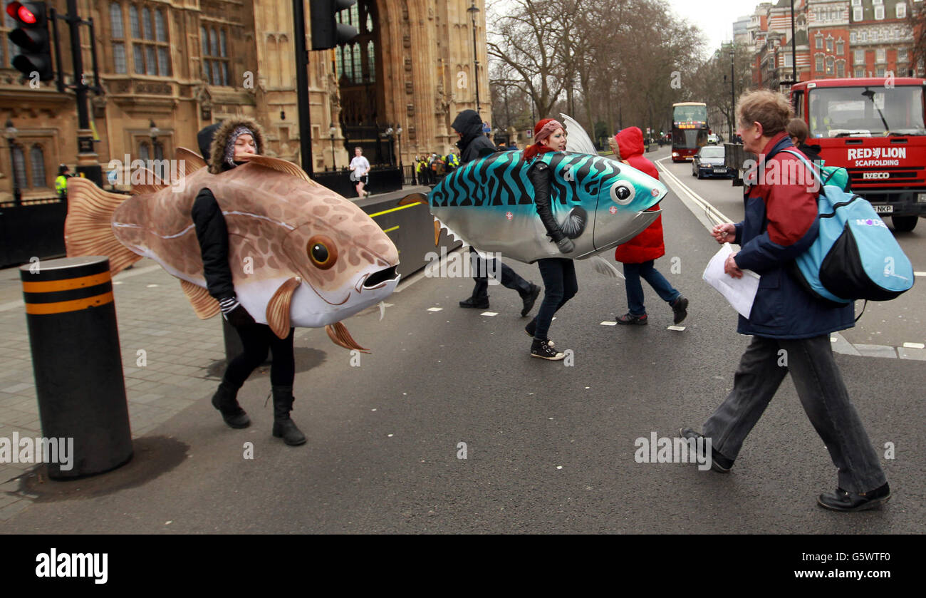 Fish protest outside Parliment Stock Photo - Alamy