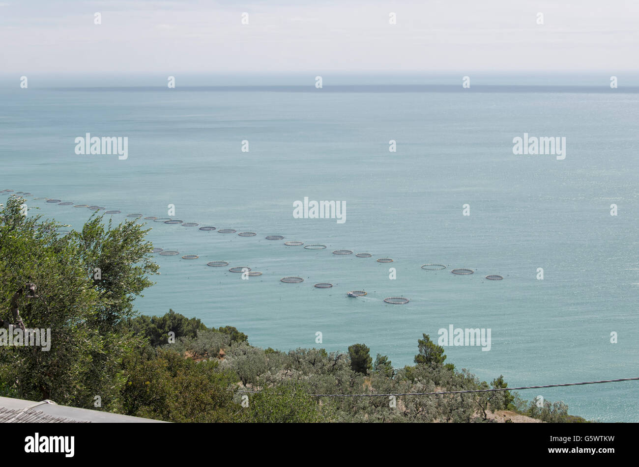 Extensive aquaculture hi-res stock photography and images - Alamy