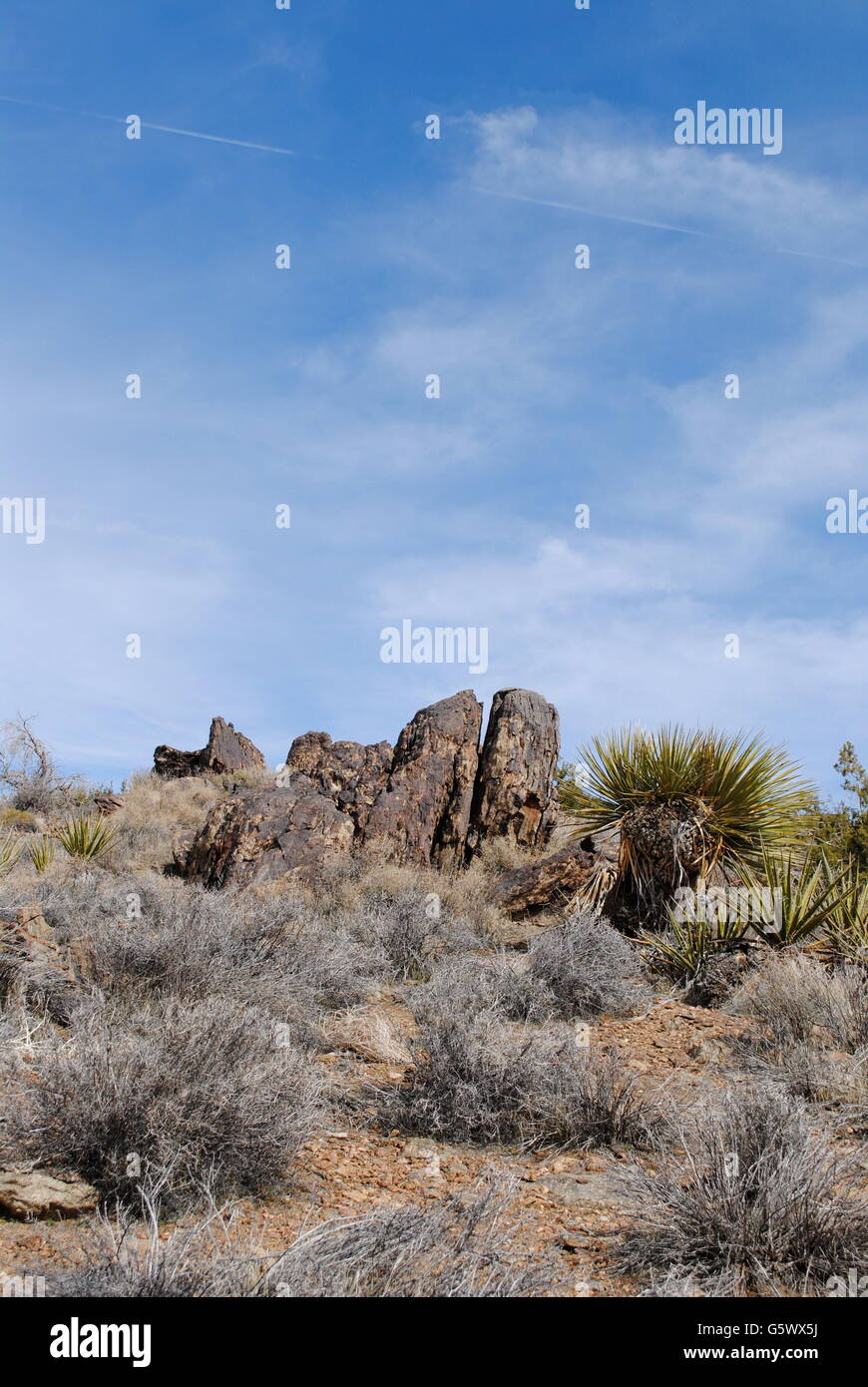 Desert Sky, Joshua Tree National Park Stock Photo - Alamy
