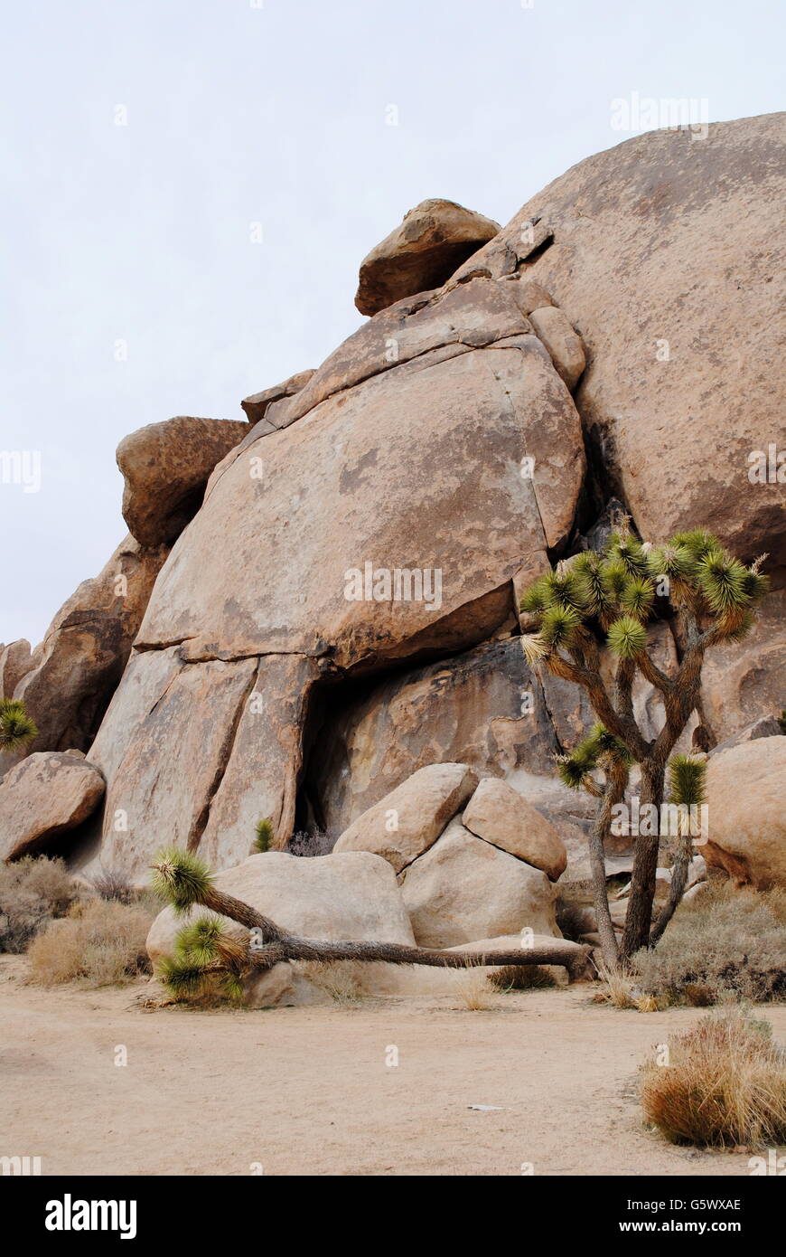 Rock formation joshua tree hi-res stock photography and images - Alamy