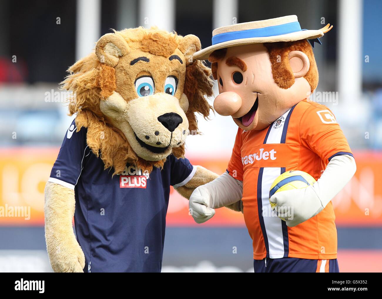 Lion millwall mascot hi-res stock photography and images - Alamy