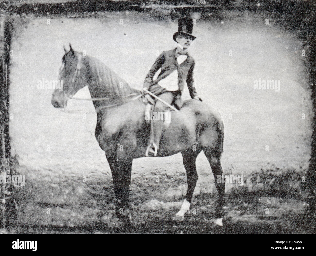 Half man half horse hi-res stock photography and images - Alamy
