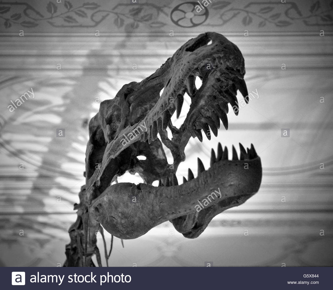 Scary Dinosaur Stock Photos & Scary Dinosaur Stock Images - Alamy