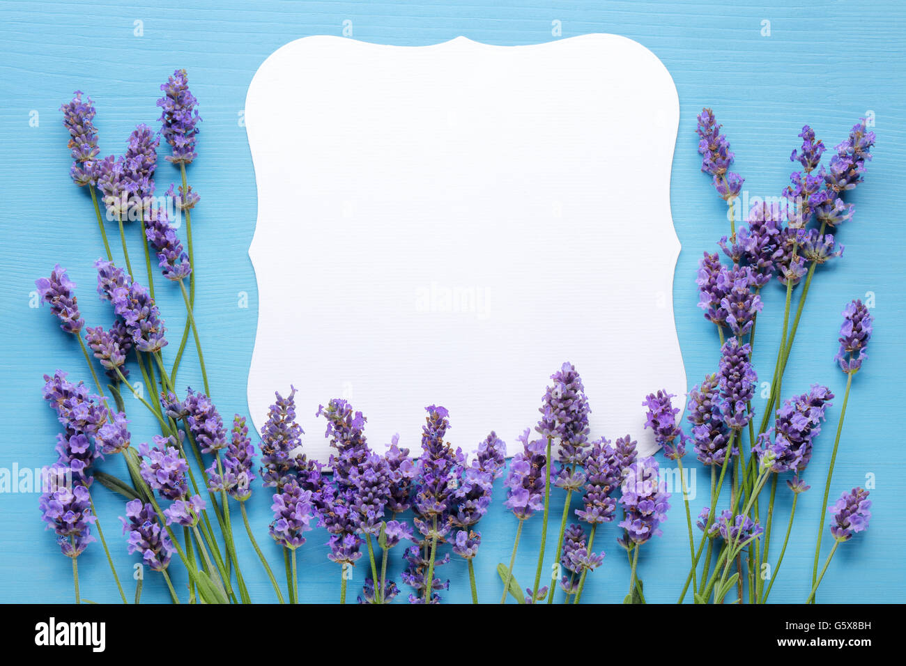 White paper blank card hi-res stock photography and images - Alamy