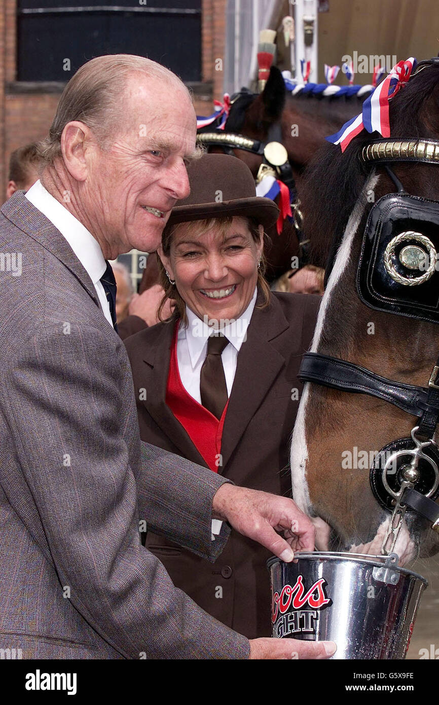 HRH The Duke of Edinburgh feeds a pint of beer to Ambassador the dray ...
