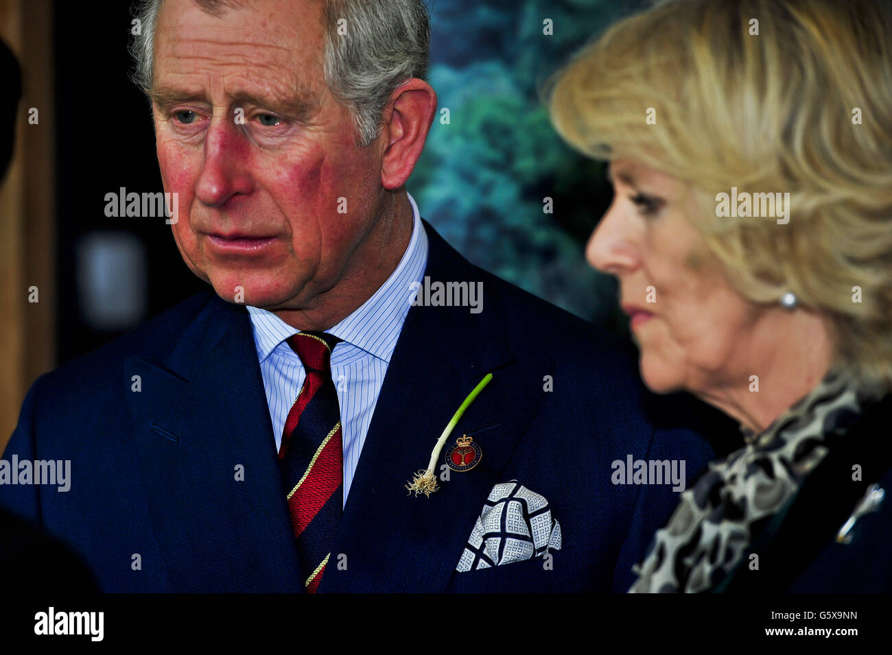 Prince charles head shot headshot royals royalty mangsm hi-res stock ...
