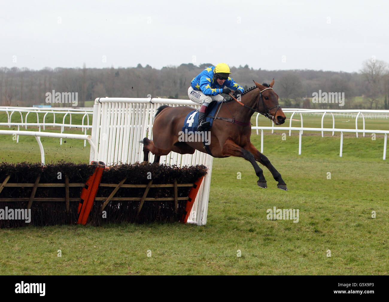 Berkeley Barron ridden by Richard Johnson on their way to victory in ...