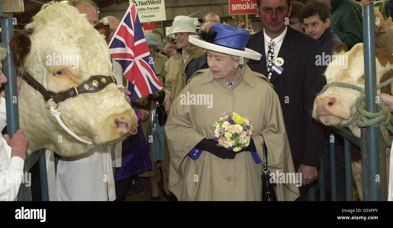 Queen Elizabeth II passes Saraband Ferrari the bull, while visiting the ...