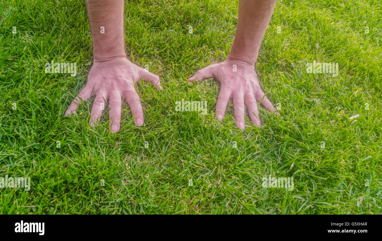 Hand grass feel hi-res stock photography and images - Alamy