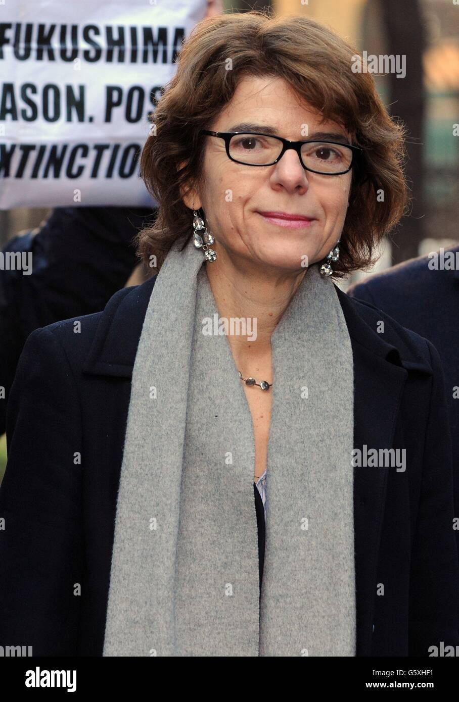 Vicky Pryce, 60, who is charged with perverting the course of justice ...