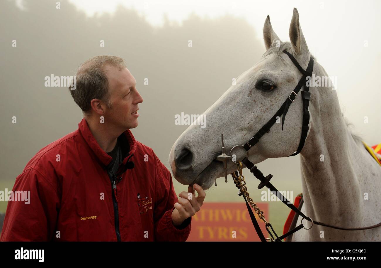 Trainer david pipe visit to david pipes stables pond house hi-res stock ...