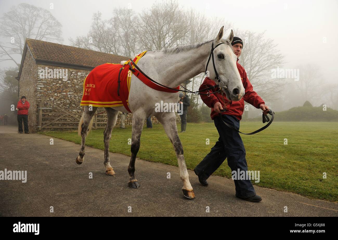 Horse Racing - David Pipe Stable Visit - Pond House Stock Photo - Alamy