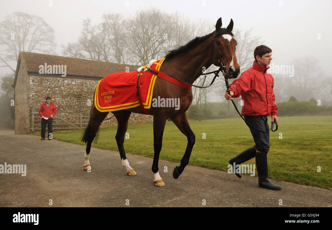 Flying Cross is lead out during the visit to David Pipes Stables at ...
