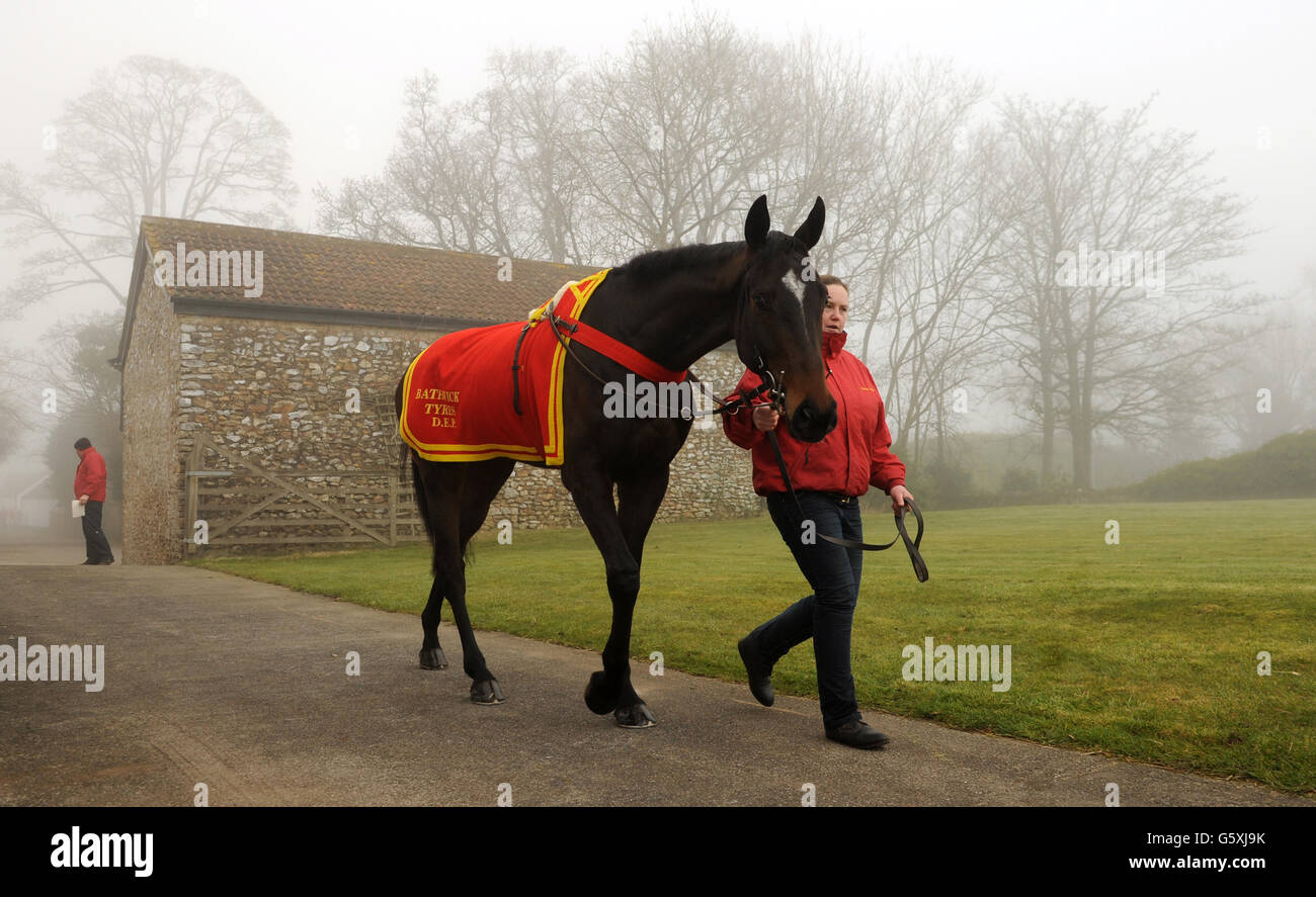 Horse Racing - David Pipe Stable Visit - Pond House Stock Photo - Alamy