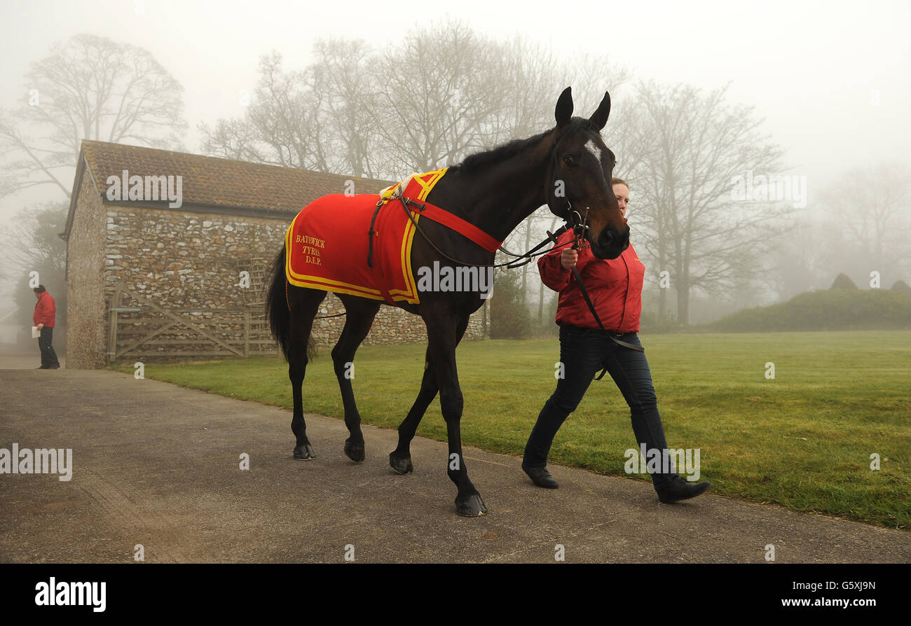 Horse Racing - David Pipe Stable Visit - Pond House. The Liquidator is ...