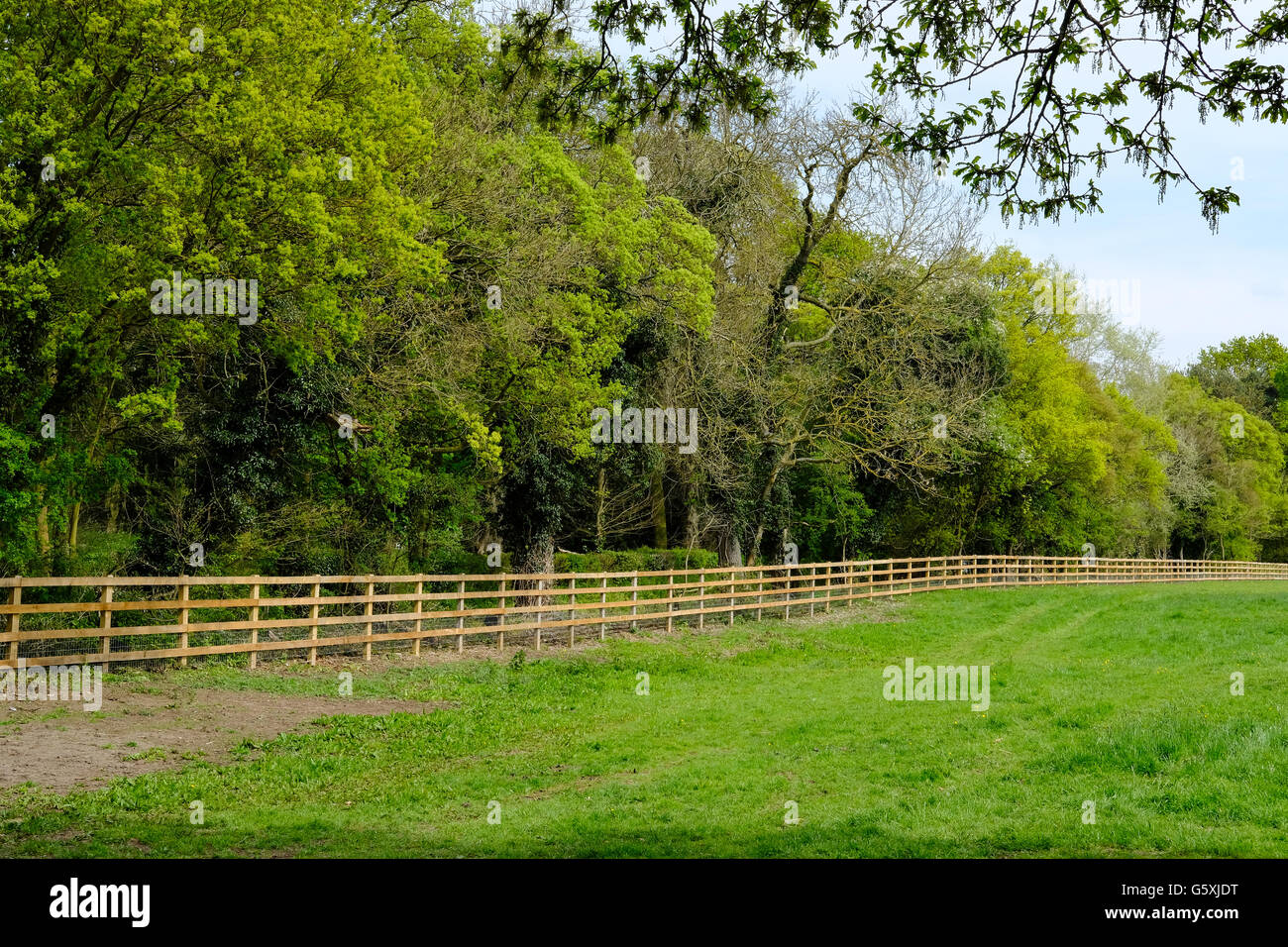 Newly installed timber fencing seen at the perimeter to a large grazing ...