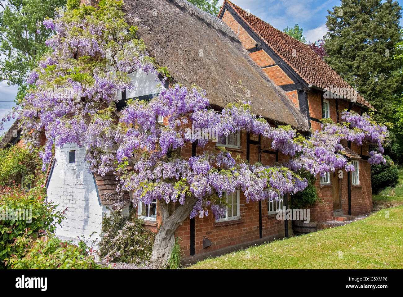 Wisteria covered house hi-res stock photography and images - Alamy