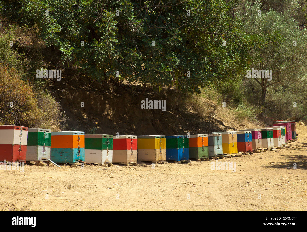 Beehives hi-res stock photography and images - Alamy