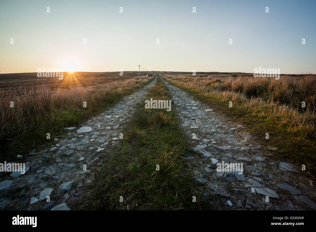 Low angle of a bog road Stock Photo - Alamy