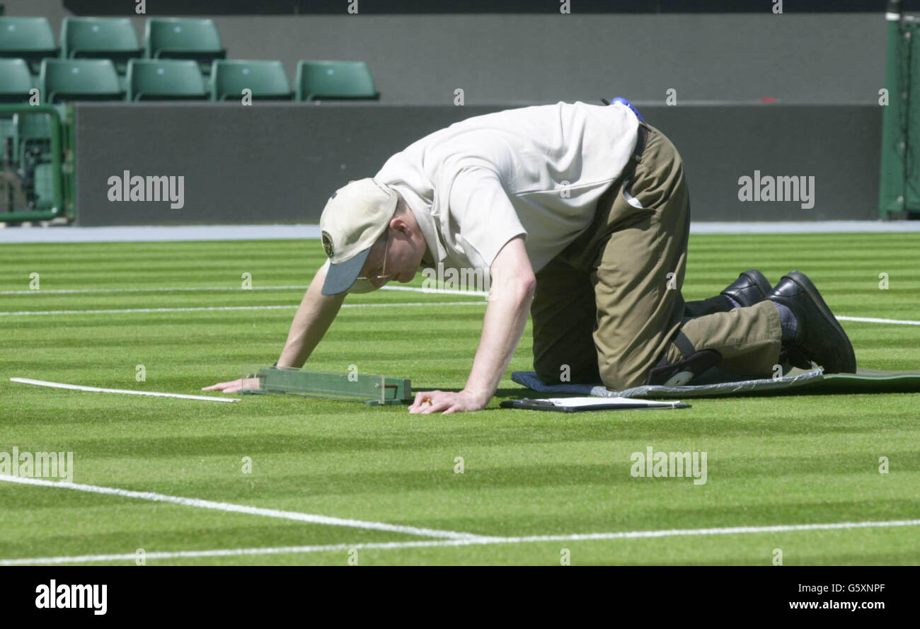 A scientist from the Sports Turf Research Institute counts the blades ...