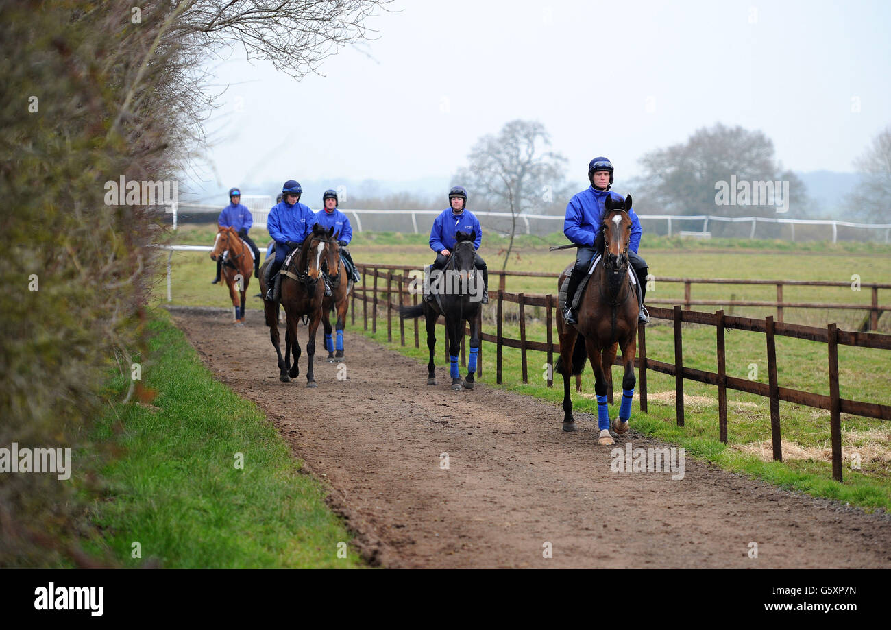 Visit to donald mccains stables hi-res stock photography and images - Alamy