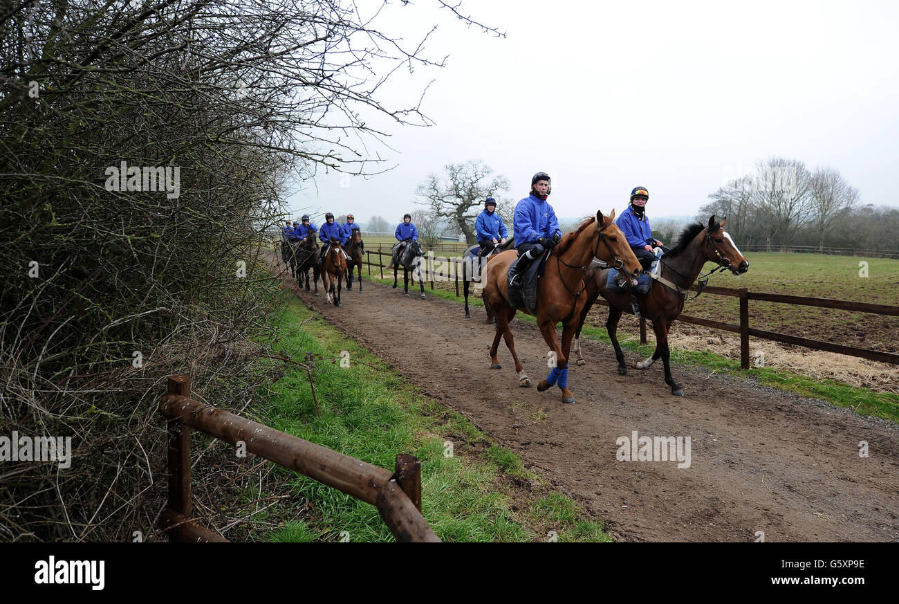 Visit to donald mccains stables hi-res stock photography and images - Alamy