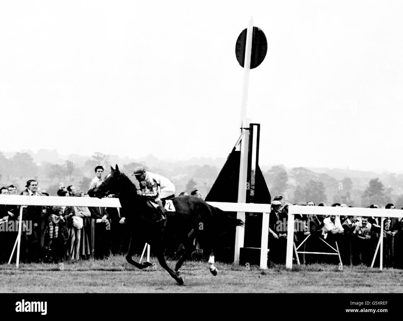 Ballymoss hi-res stock photography and images - Alamy