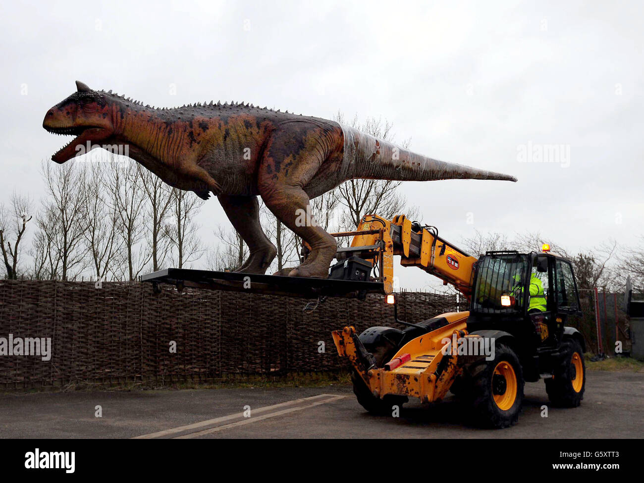 Carnotaurus hi-res stock photography and images - Alamy