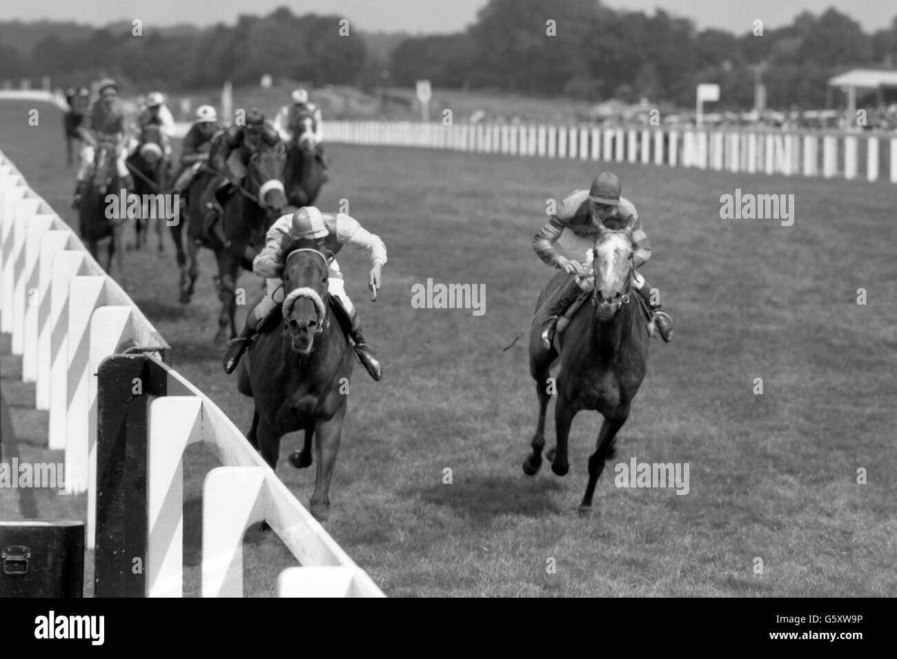 Horseracing action Black and White Stock Photos & Images - Alamy