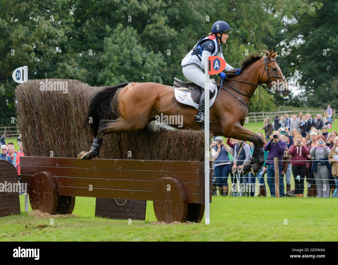 Tina Cook and STAR WITNESS - Show Jumping Phase - Land Rover Burghley ...