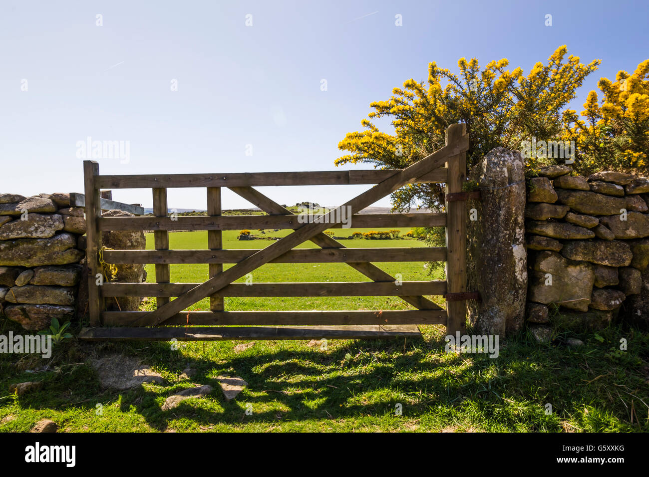 A field gate in bright sunshine in Dartmoor, Devon, England, UK. Spring ...