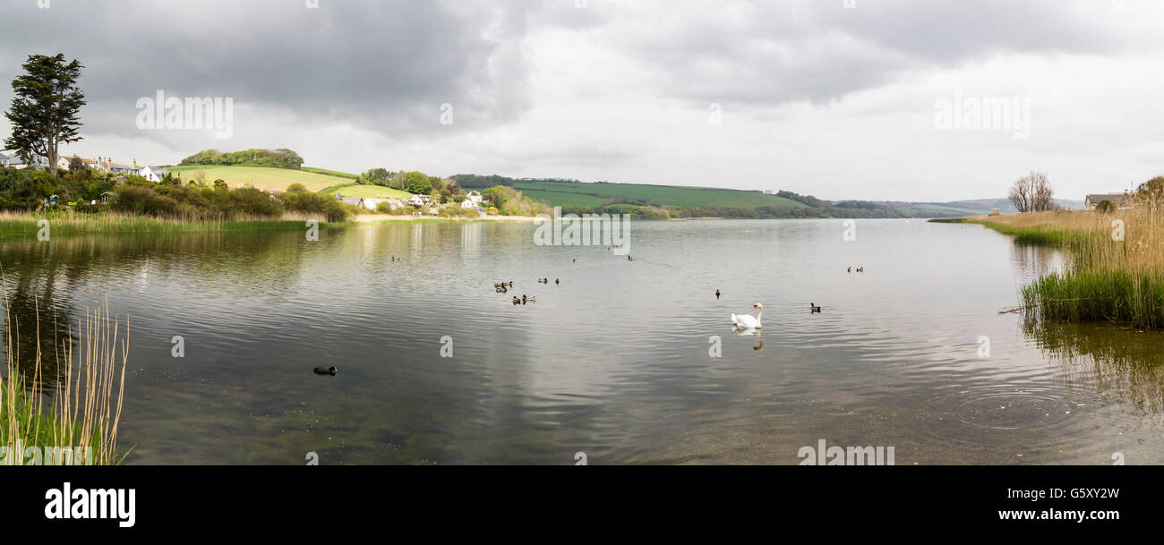 Slapton Ley Nature High Resolution Stock Photography and Images - Alamy