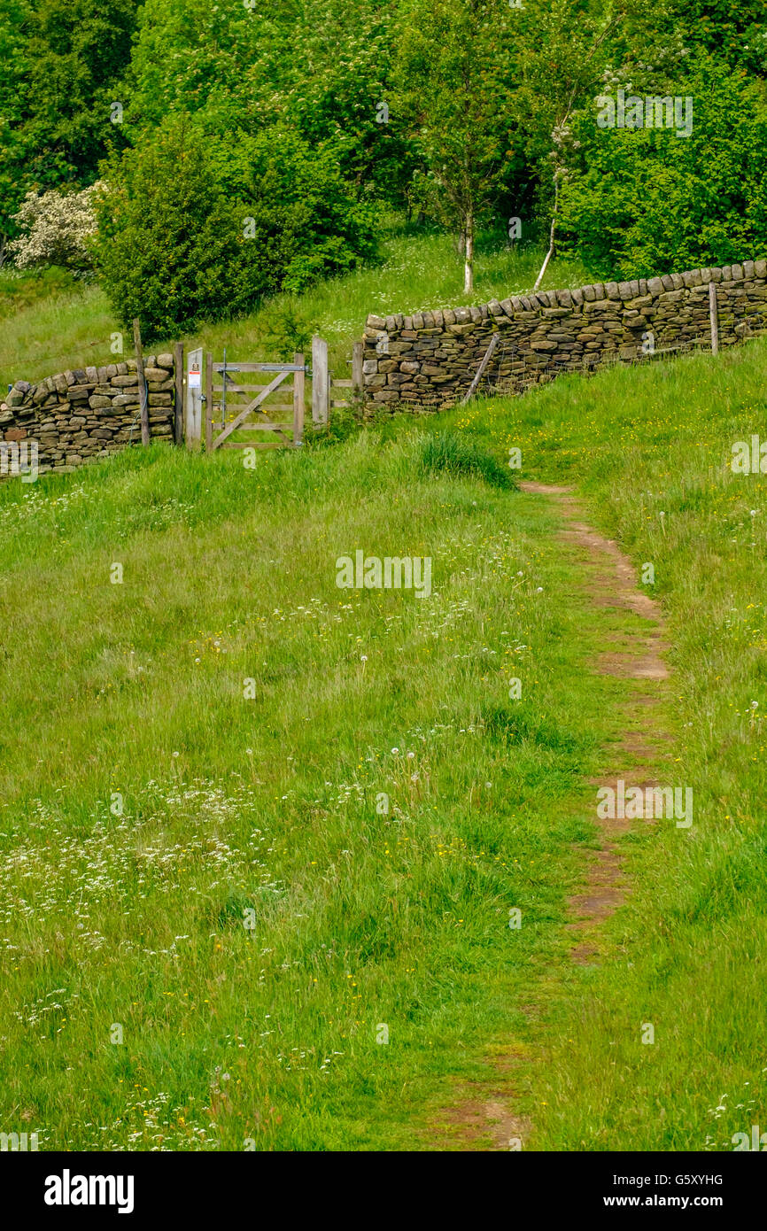 Wycoller Country Park Stock Photo - Alamy