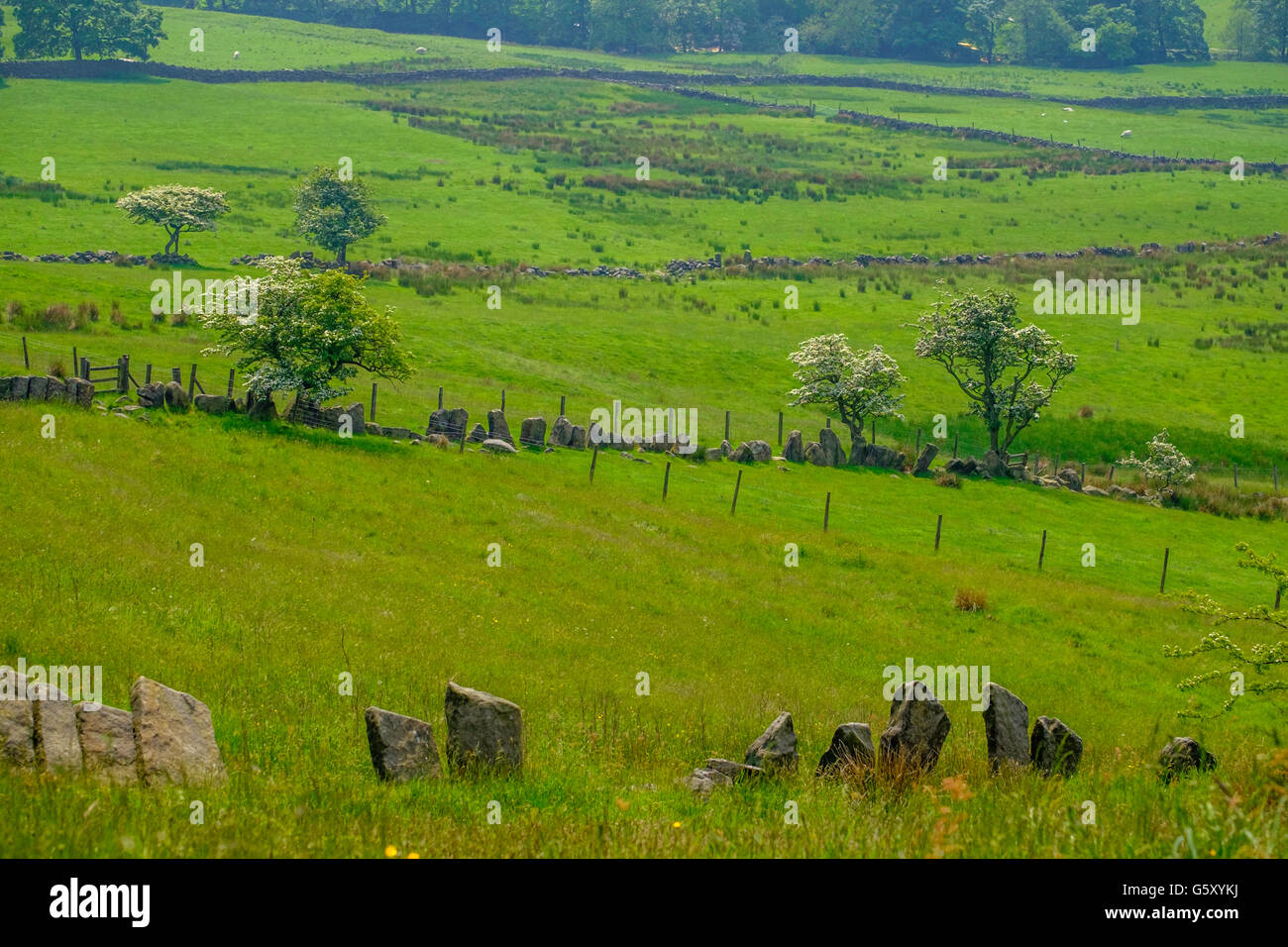Wycoller country park lancashire hi-res stock photography and images ...