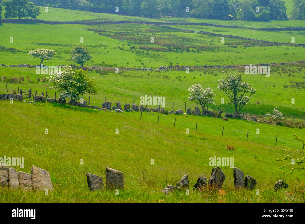 Wycoller country park lancashire hi-res stock photography and images ...