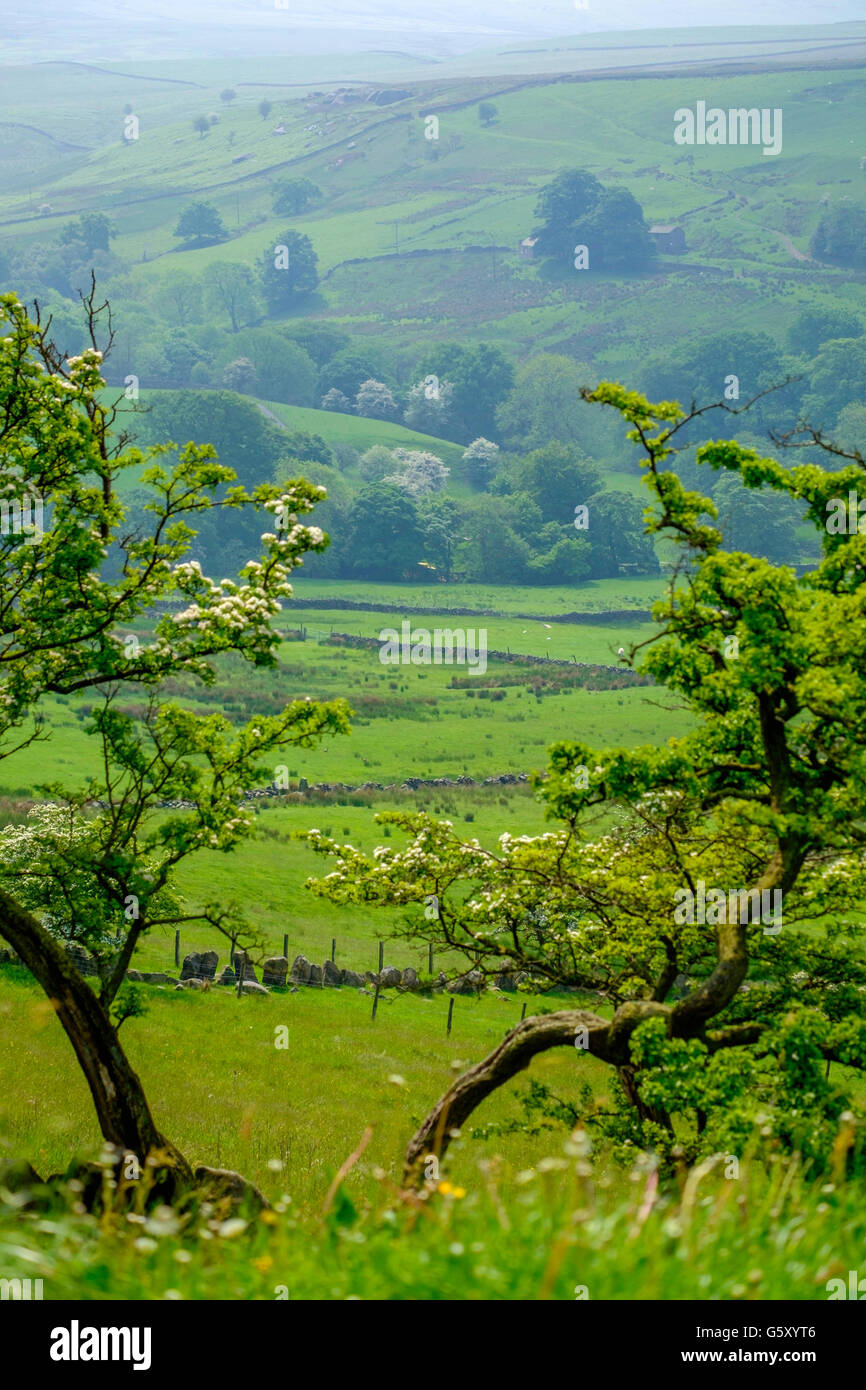 Wycoller Country Park Stock Photo - Alamy