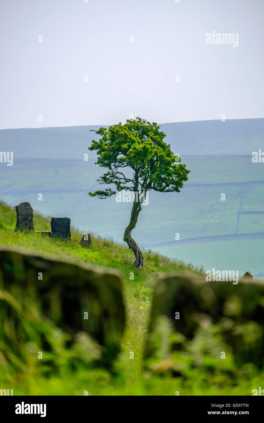 Wycoller Country Park Stock Photo - Alamy